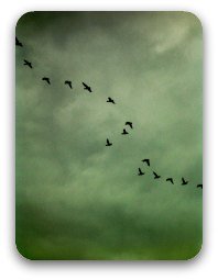 Free funeral poems: sympathy poems, bereavement poems, and funeral readings